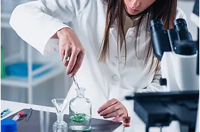 1- Day Express Testing - TCF Lab Services